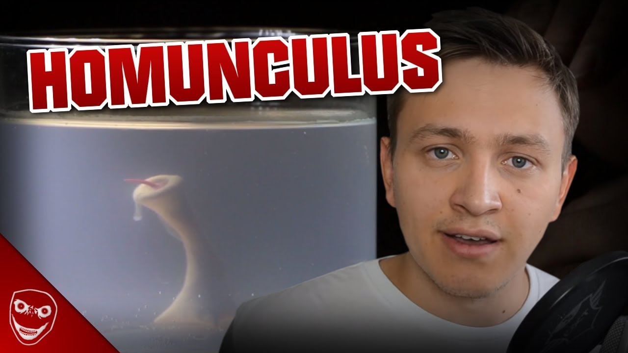 YouTuber züchtet Mensch im Glas? Homunculus Experiment! - YouTube