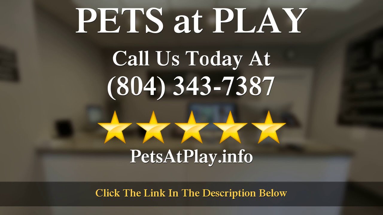 PETS at PLAY Richmond Incredible 5 Star Review by Stephen M. - YouTube