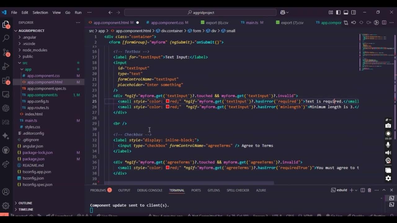 Angular 19 Reactive Forms with Validation | Checkbox, Textbox, Radio Button, Dropdown ...