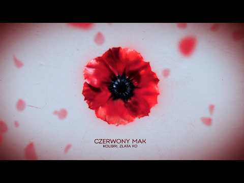 Kolibri, Zlata Ko - Сzerwony mak (new 🎧 2026)