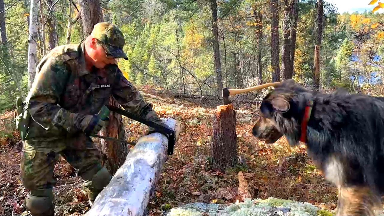 Wilderness Scout fells a tree and prepares a fire - YouTube