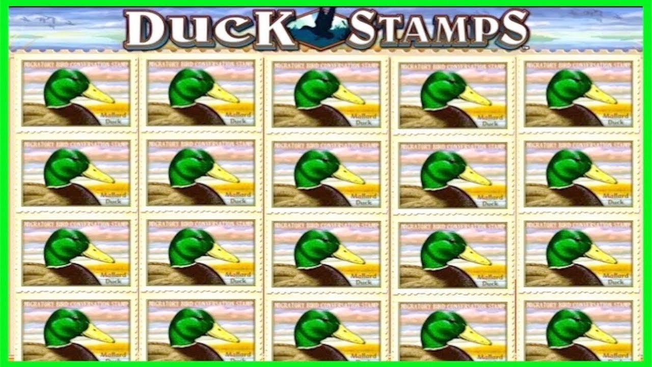 JACKPOT HANDPAY★★$500 BETS★★DUCK STAMPS HIGH LIMIT SLOT MACHINE BUENO ...