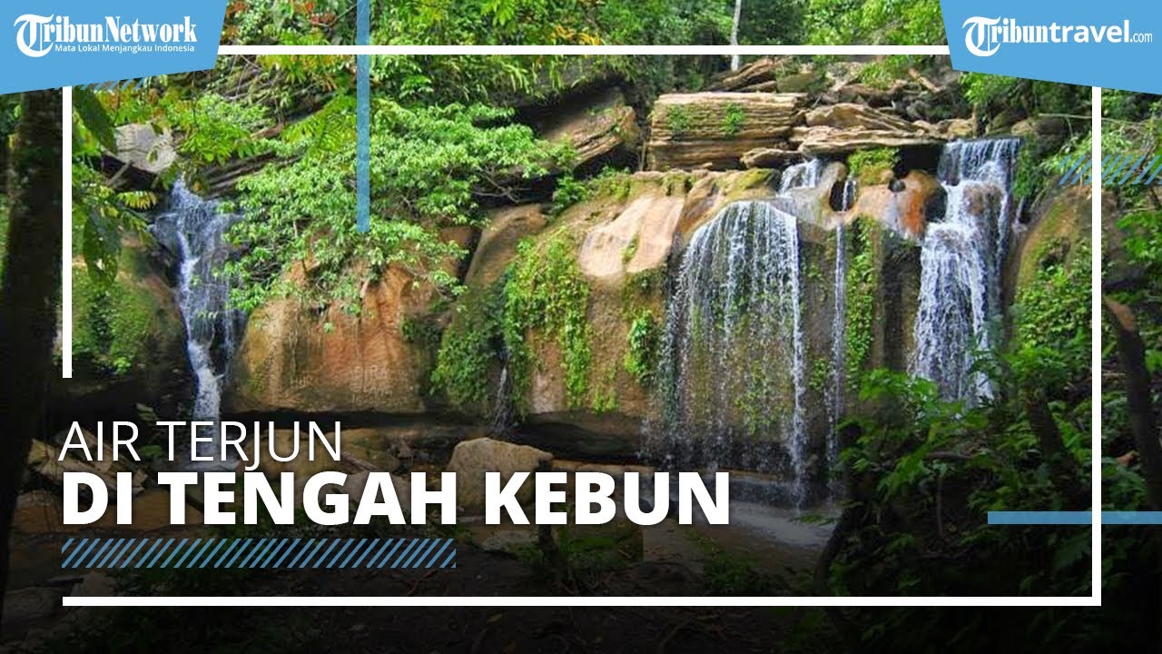 Pesona Air Terjun Lau Berte di Langkat, Wisata Alam yang Masih Asri di ...
