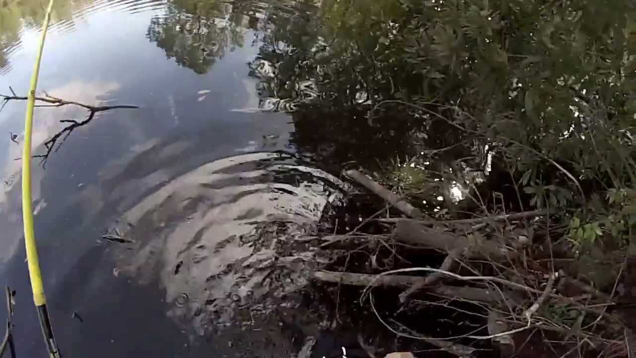 Winter pond buck bass bed fishing - YouTube