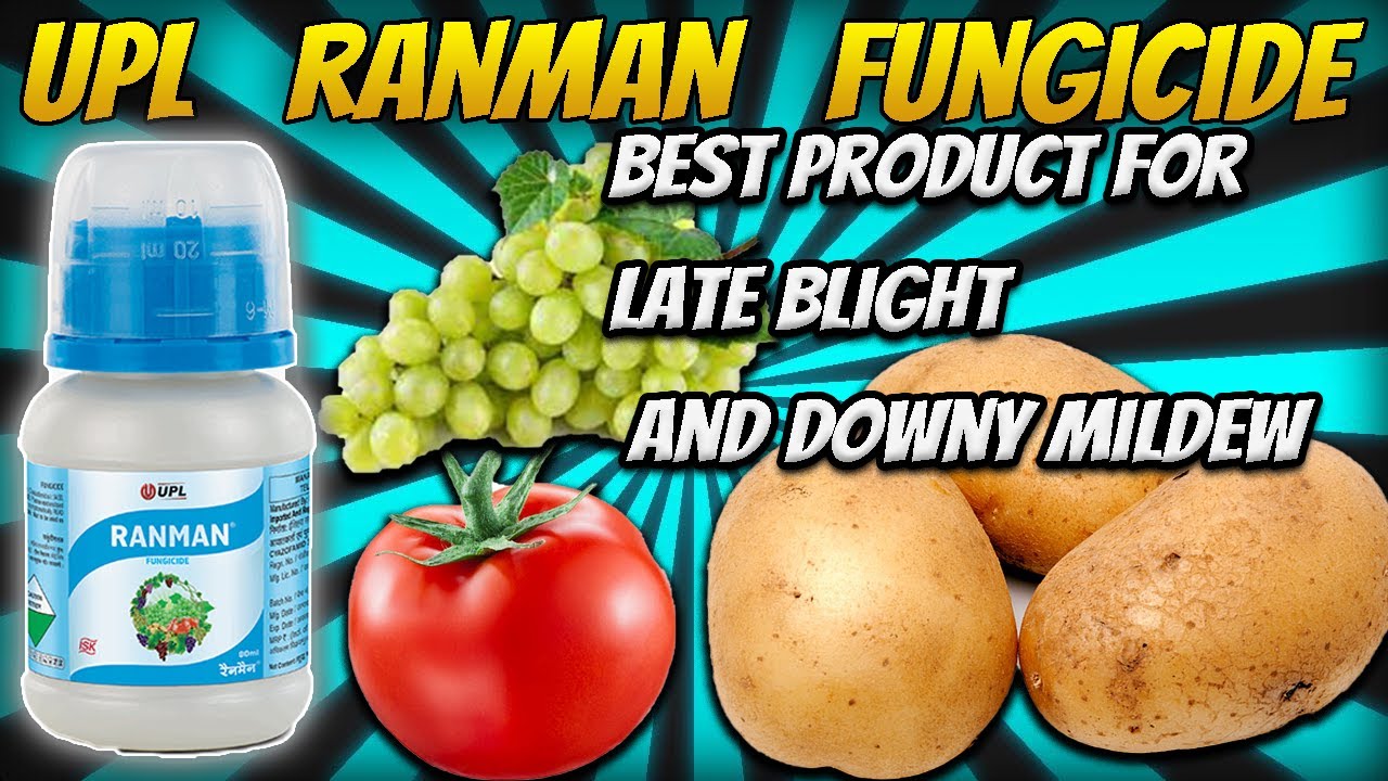 UPL Ranman | Best Fungicide | price | pack | dosage | how it works ...