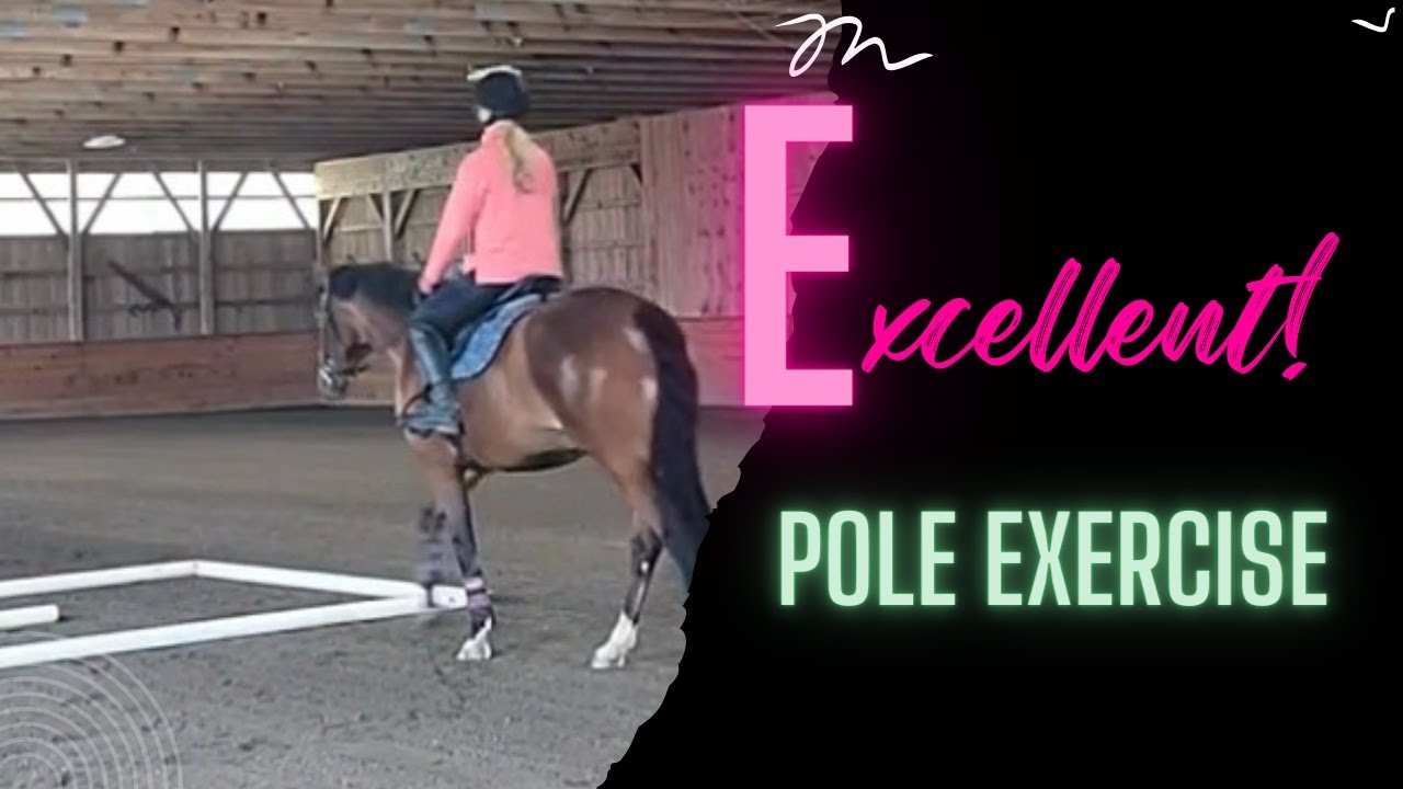 My Fav Pole Work Exercise! | E is for Excellent - YouTube