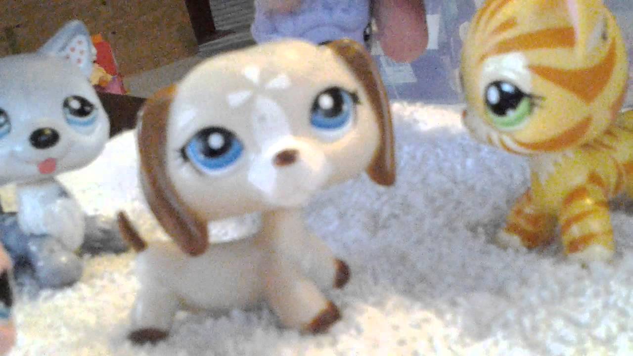 Lps secret mermaids life season 2 episode 1 part 1 - YouTube