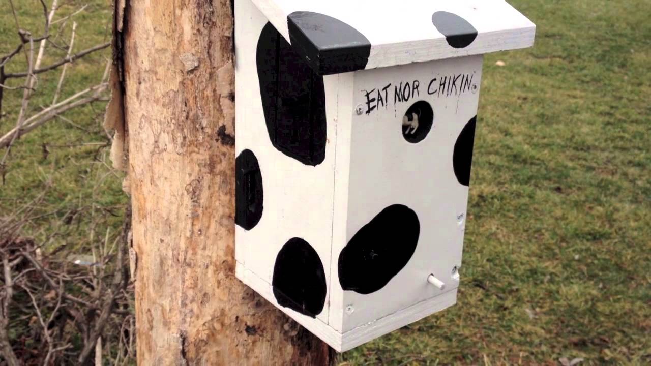 A LOUD "surprise" awaits every geocacher at this amazing geocache ...