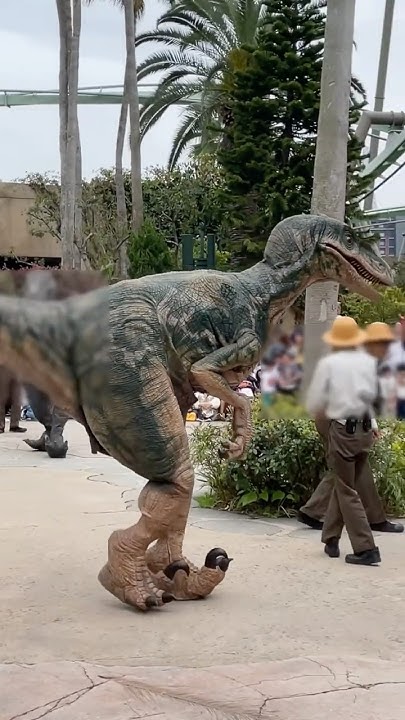 【USJ】めっちゃ近くで見れる！ジュラシック・ワールド・ラプター・アラート #usj #usjファン #ユニバ #shorts#유니버셜스튜디오재팬 ...