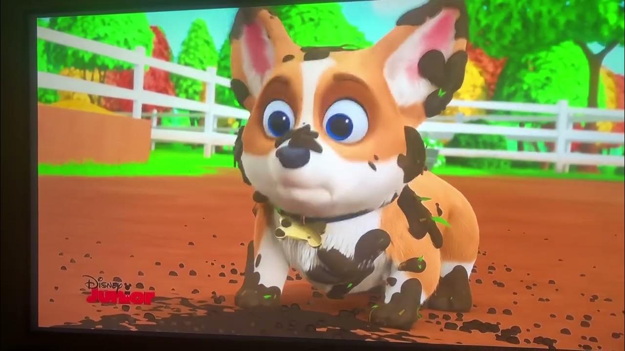 Chicken Squad Scout Clip - YouTube