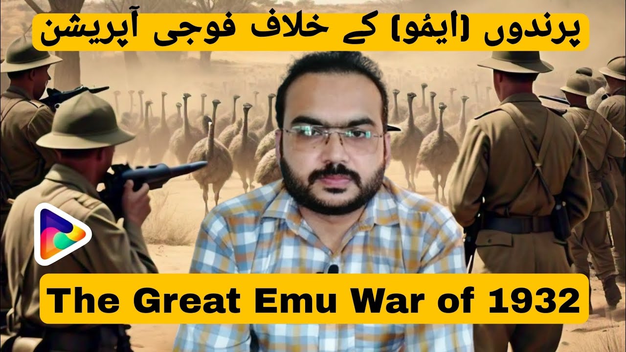 The Great Emu War of 1932 | Australia's Strangest Battle | Blissful ...