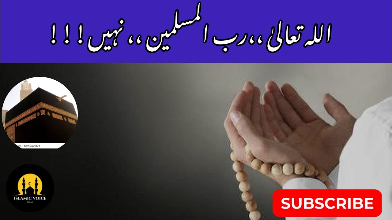 Sayedna Musa ka Mtalba, Allah Tala ka Jwab.|islamic voice official ...