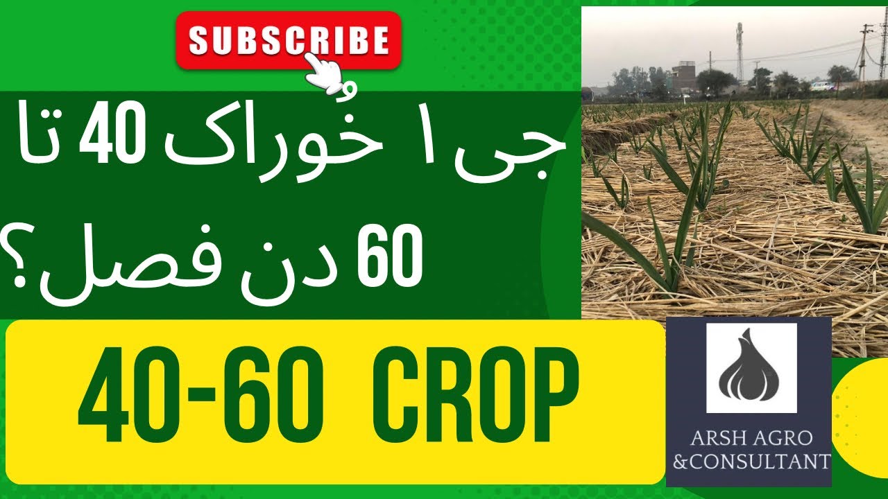 NARC HG1 First fertlizer!!! جی ۱ کو کون سی خوراک دیں پہلے ۴۰ دن ...