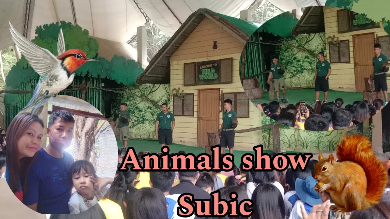 Very friendly animals||Animals show at ocean adventure Subic - YouTube