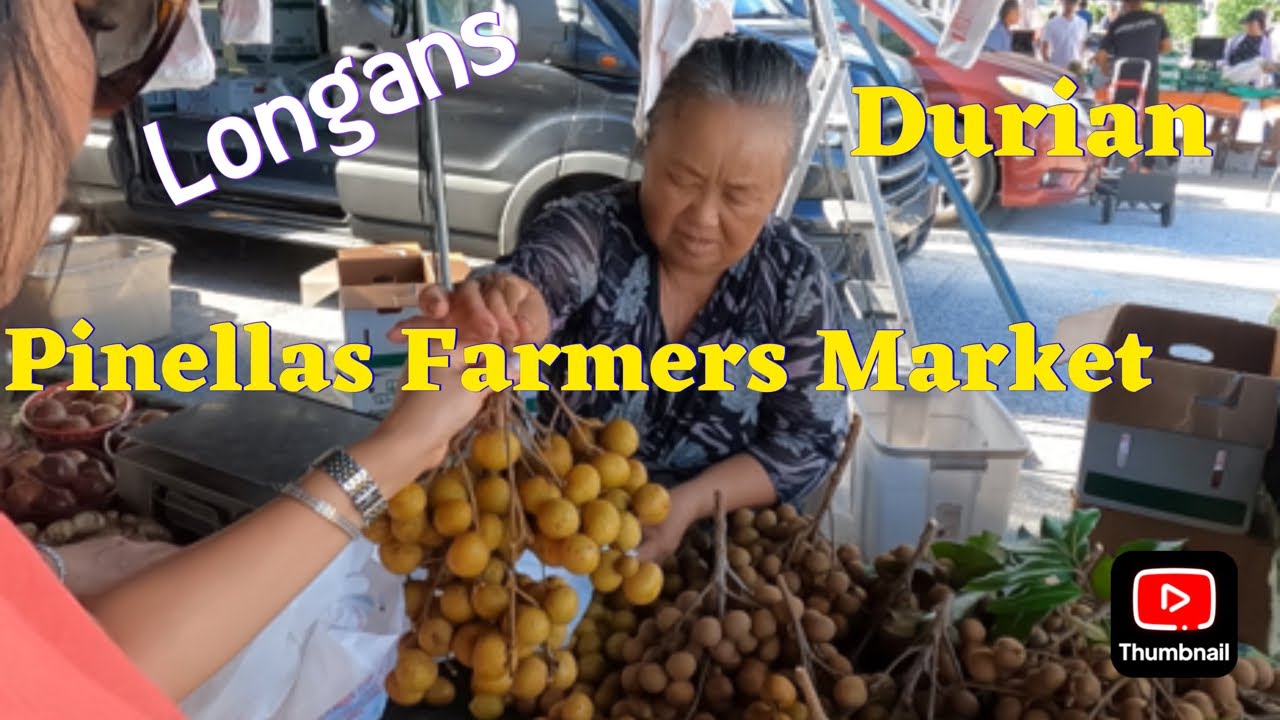 Stopped by Pinellas Farmer’s Market and got some Longans and Durian - YouTube