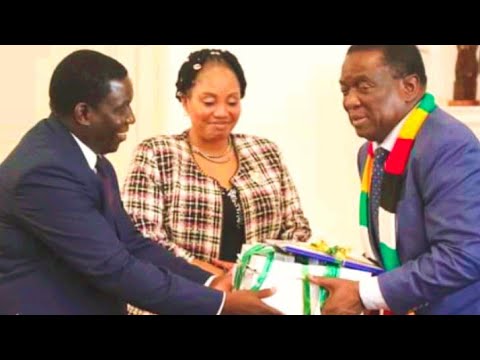FREEMAN CHARI URGES CCC TO JOIN MWONZORA'S DELIMITATION REPORT COURT ...