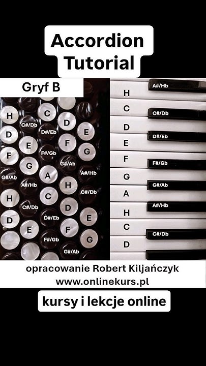 Akordeon guzikowy - schemat Gryf B i klawiatura#tutorial #akordeon #naukagrynaakordeonie # ...