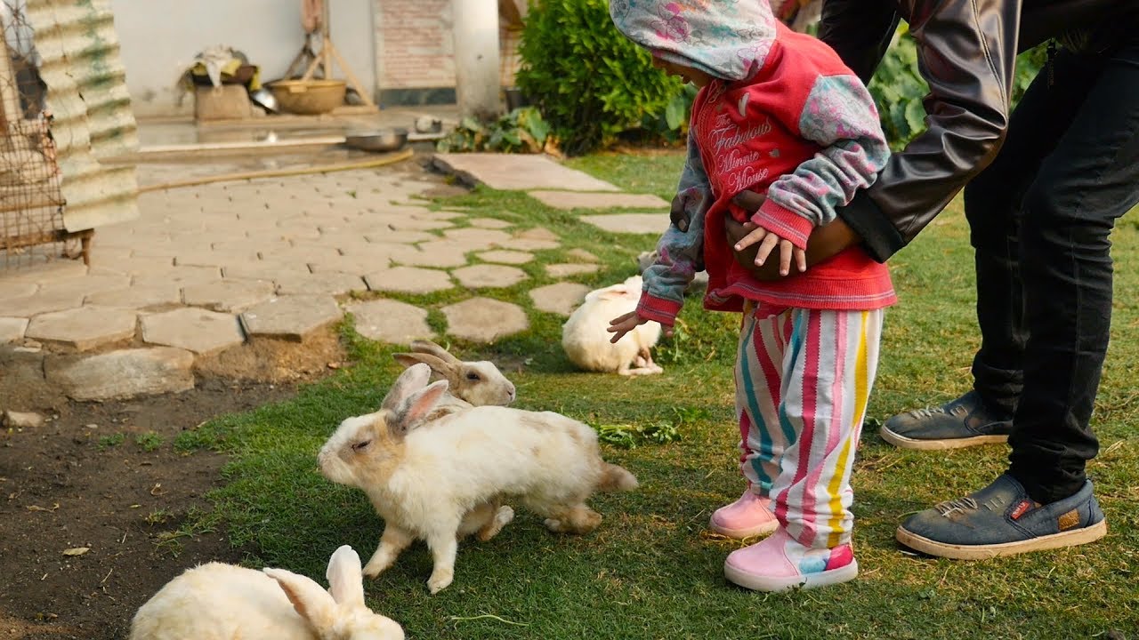 Khargosh || Rabbit Video || Cute Kids and Rabbits || खरगोश - YouTube