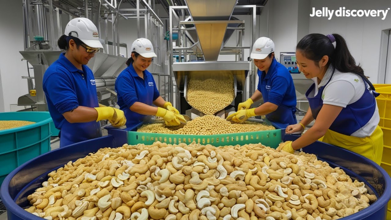 How Cashew Nuts Are Made: Inside a Massive Cashew Factory - YouTube