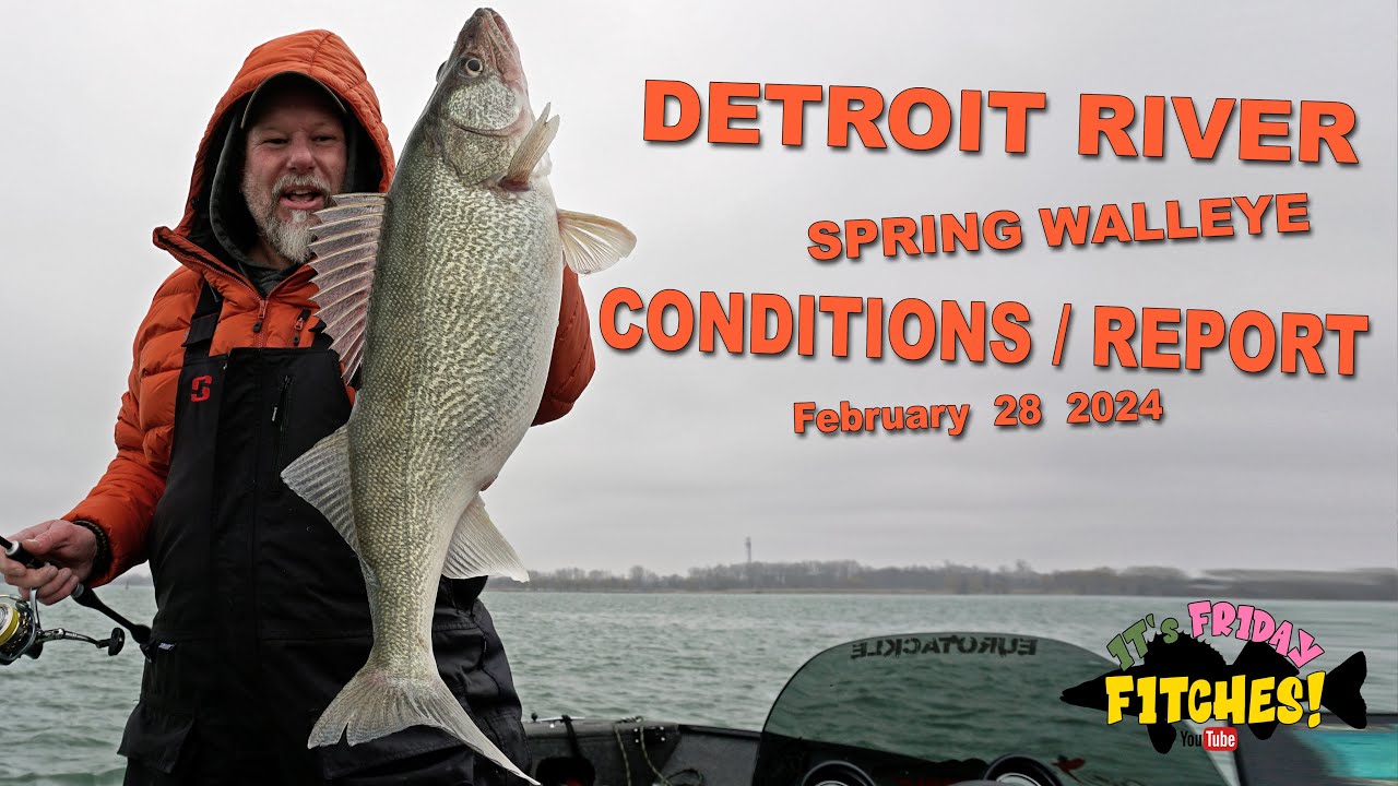 Detroit River Spring Walleye Conditions Update Report February 28-2024 ...