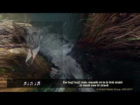 Mihemed Arif Cizîrî, Zirave Eli Sadiq 2017