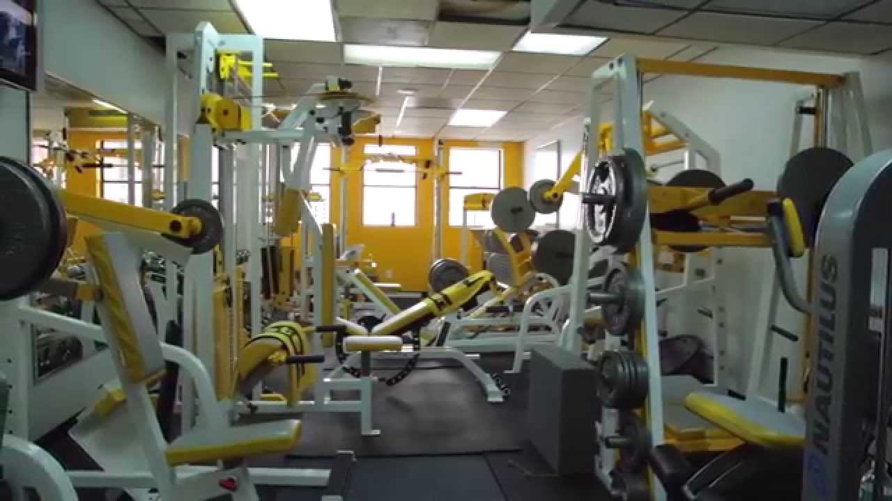 Genetics By Geno Business Profile - YouTube