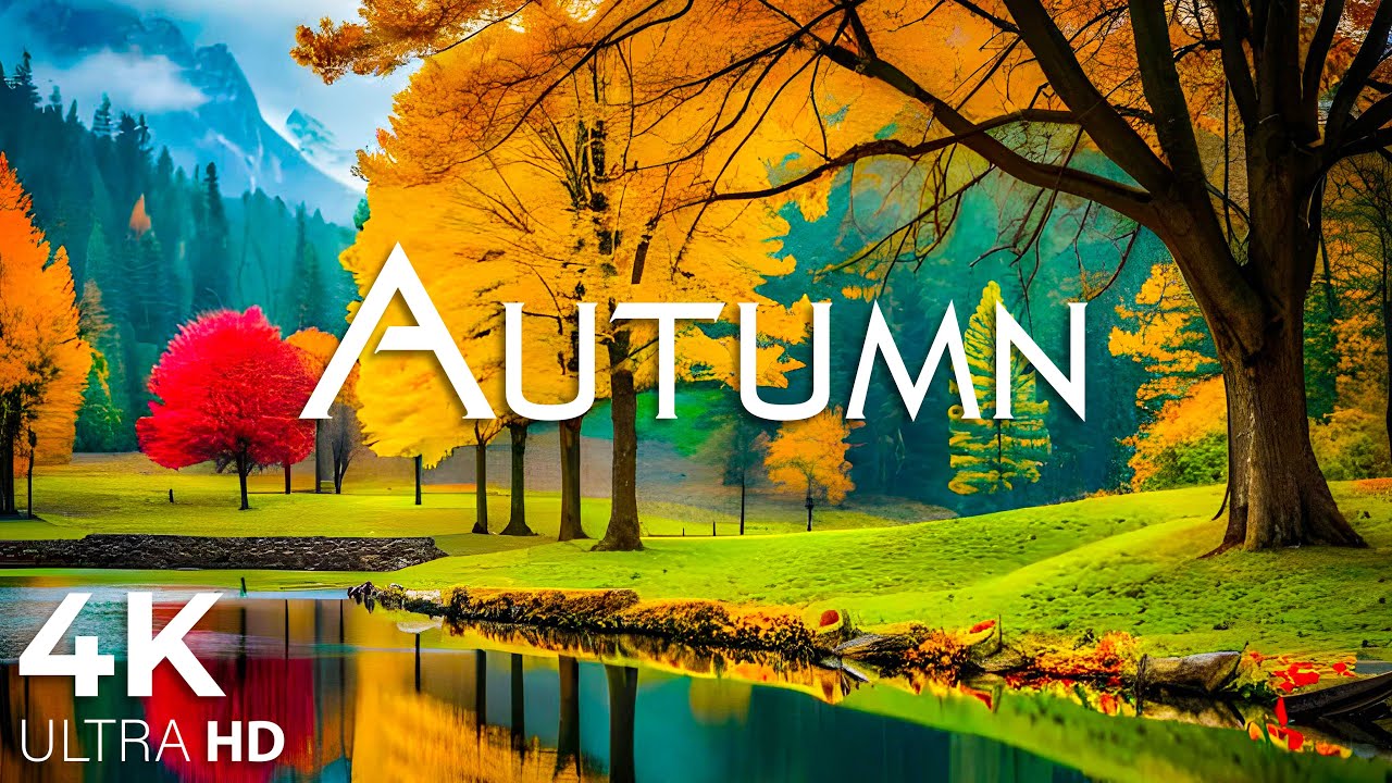 Enchanting Autumn Forests with Beautiful Piano Music🍁4K Autumn Ambience ...