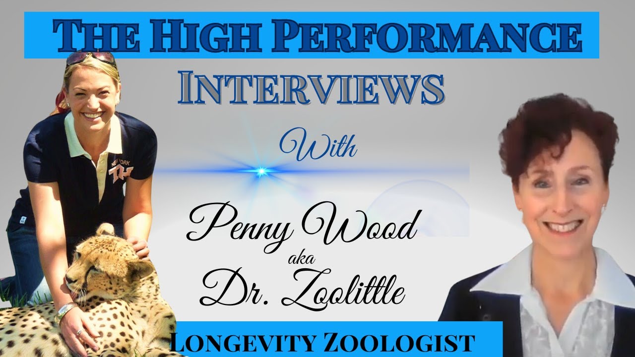 The High Performance Interviews With Penny Wood - YouTube