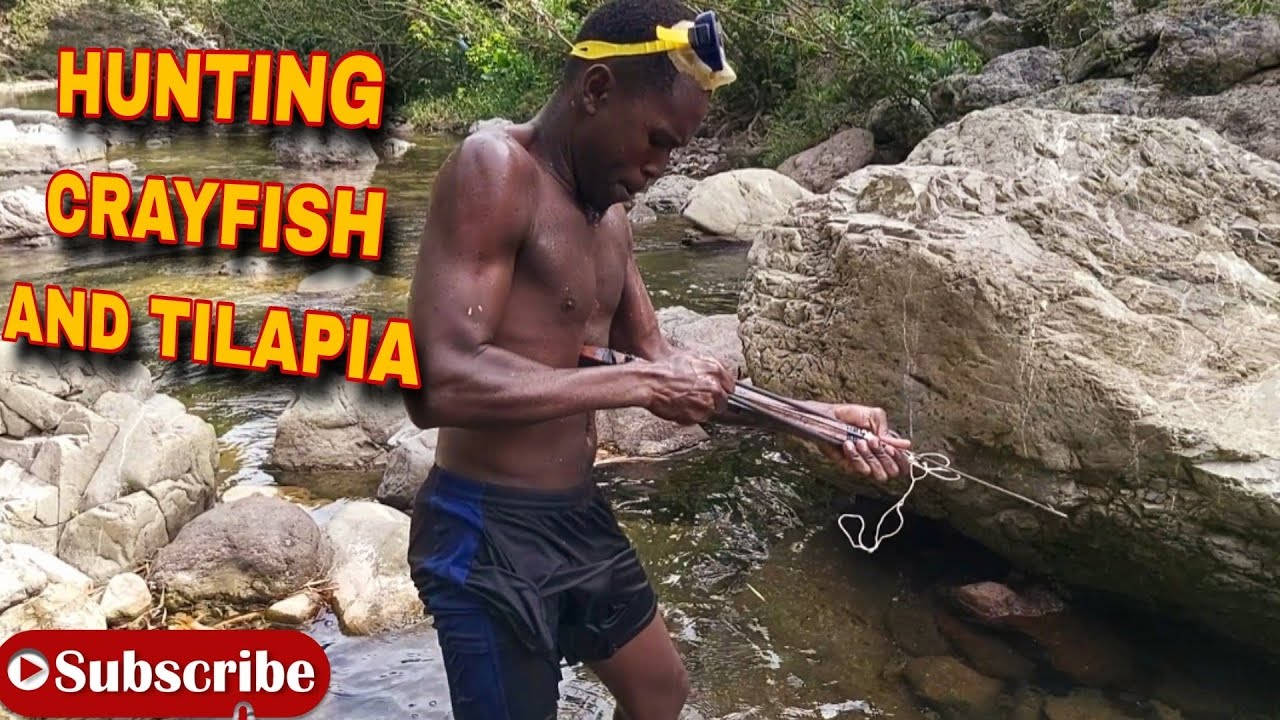 HUNTING CRAYFISH AND TILAPIA. - YouTube