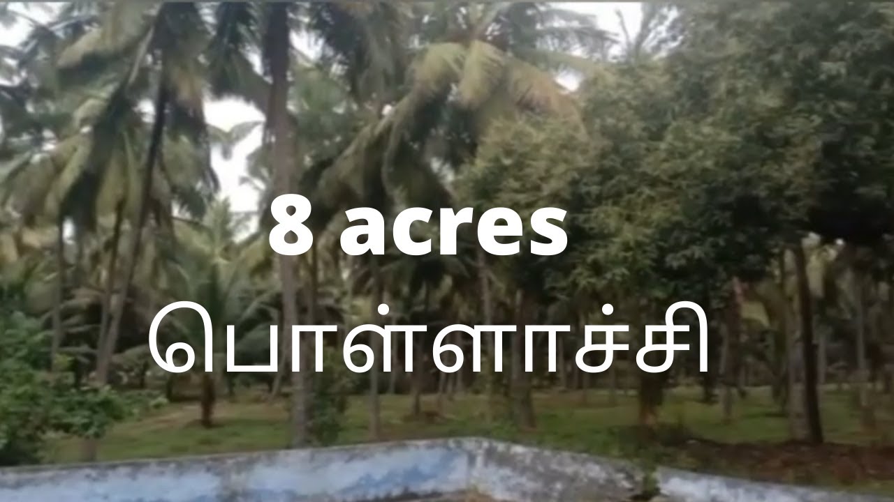 8 acres in Pollachi for Sale | பொள்ளாச்சி | Coconut Farm ...