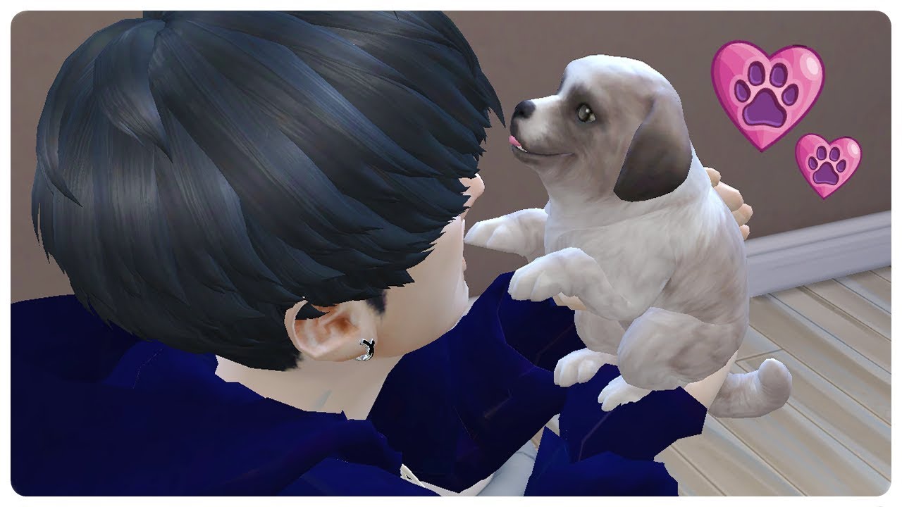 "CLEO 😍" | Ep.2 Cats and Dogs | The Sims 4 Indonesia - YouTube