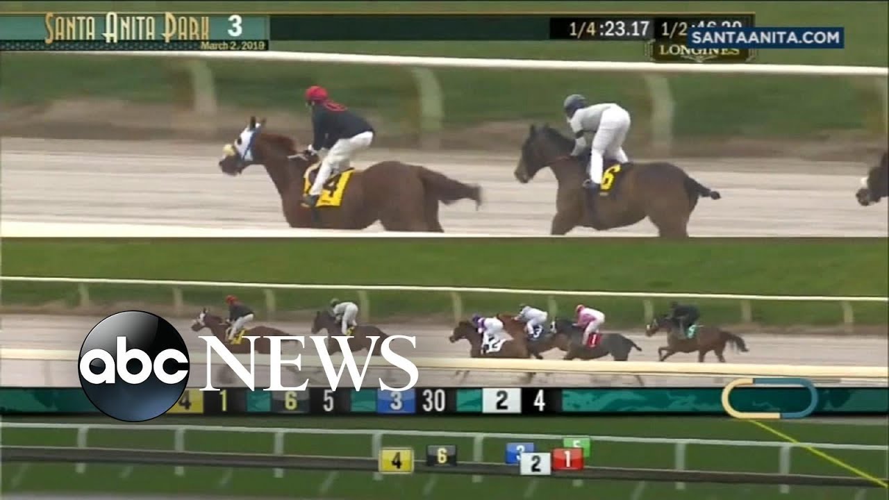 Races cancelled at California track after 21 horses die - YouTube