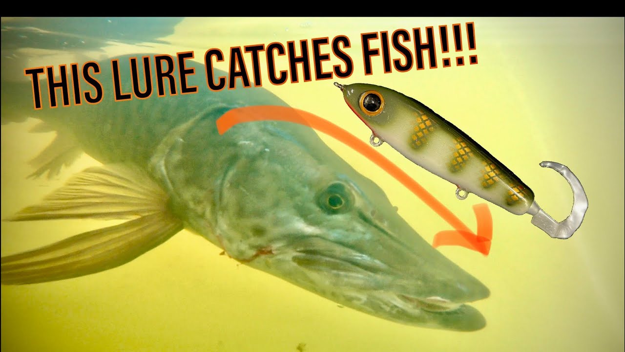 FISHING FOR IOWA SPRING MUSKIES, Post Spawn Bluntnose Glider Musky, Day ...