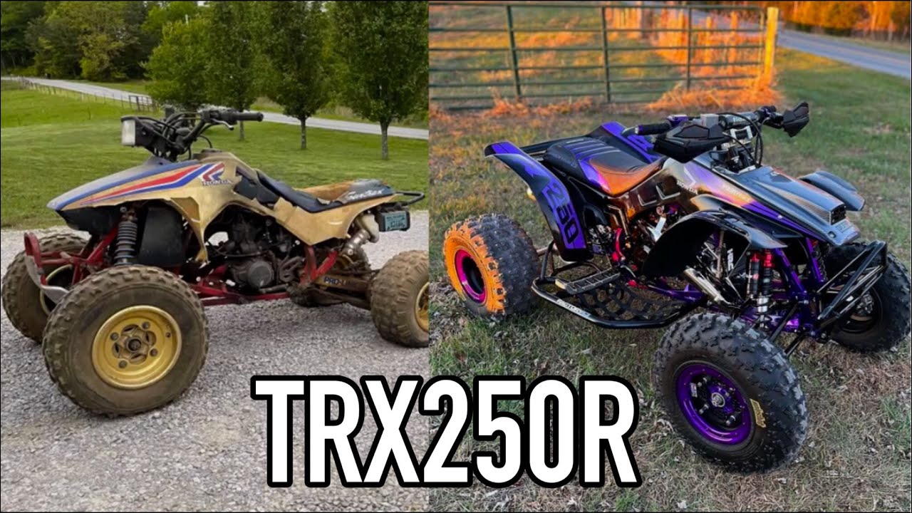 AMAZING TRX250R Build Walkaround + Story - YouTube
