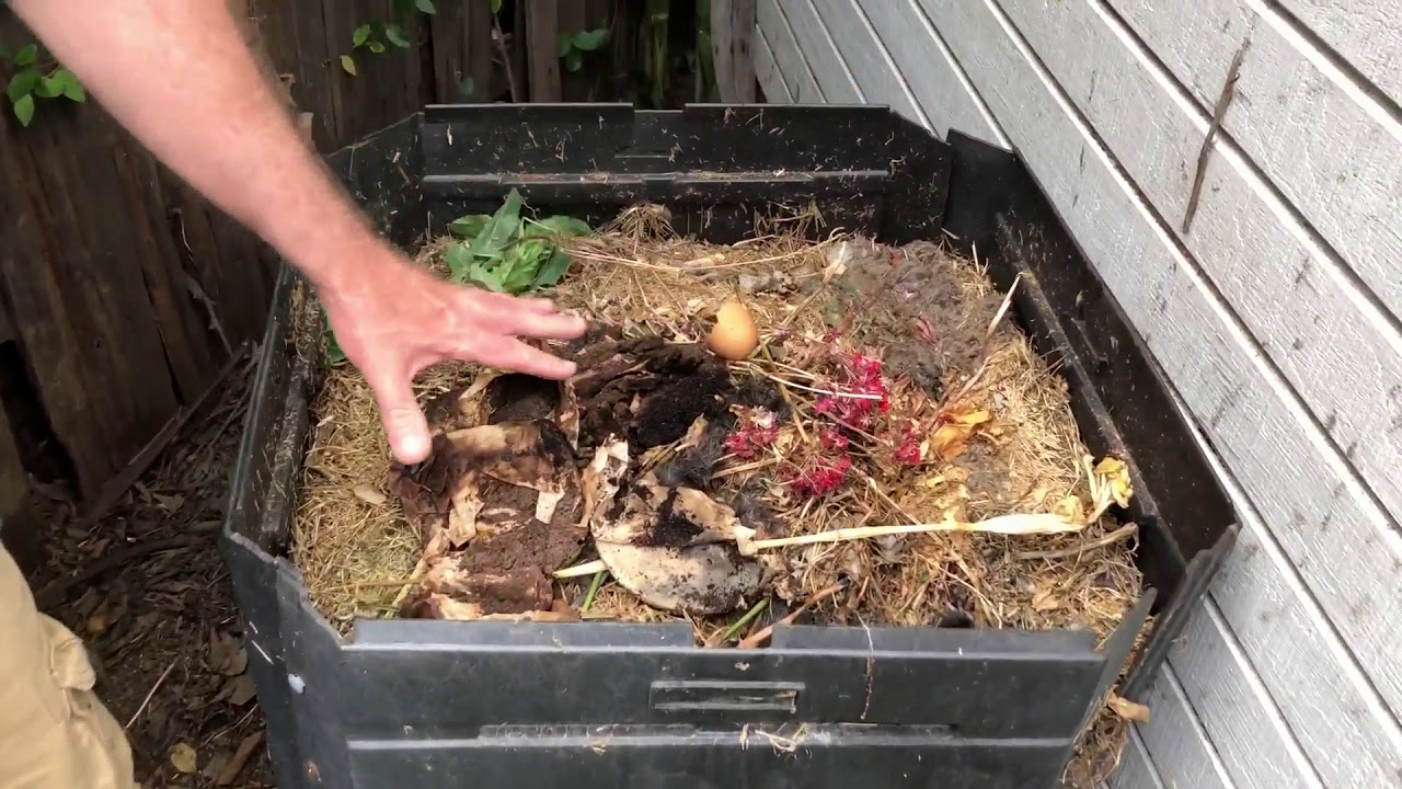 The Commercial Compost Bin - YouTube