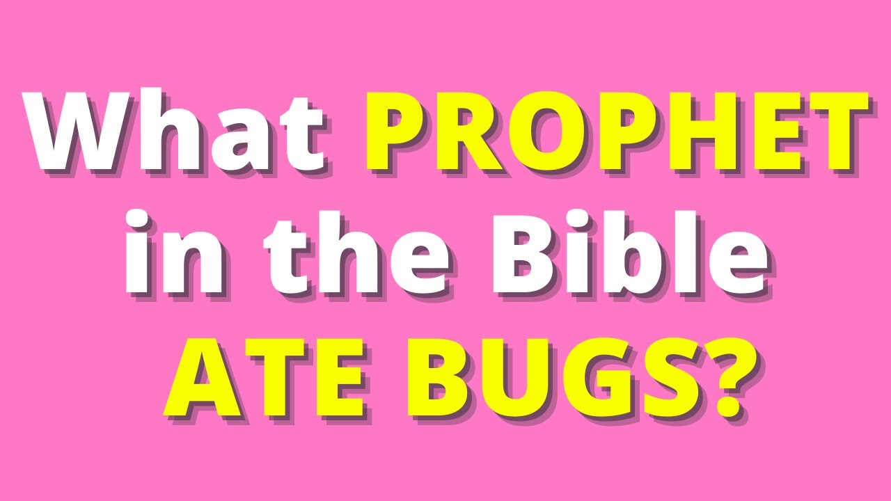 20 Bible Quiz Questions on John the Baptist | BIBLE QUIZ - YouTube