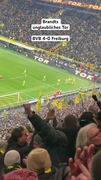Brants Freistoß BVB 4-0 Freiburg - YouTube