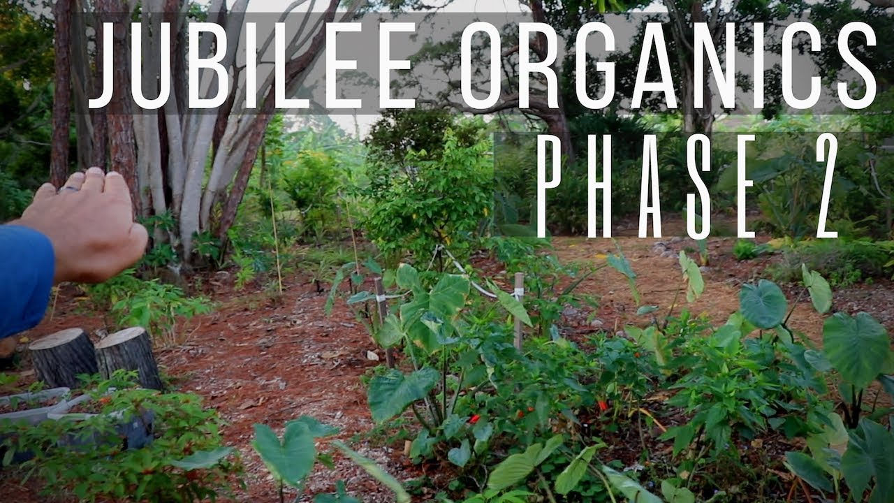 3-Acre Edible & Native Landscaping Project: Breaking Ground - YouTube