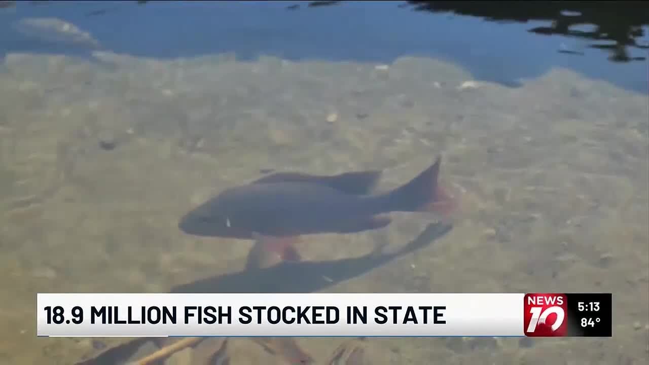 18.9 million fish stocked by Michigan DNR - YouTube