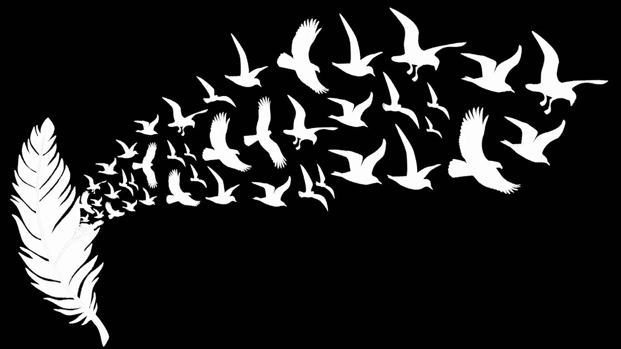 Bird Sounds 10 YouTube bird-sounds-10-youtube