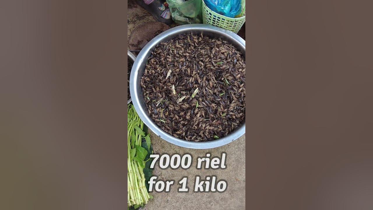 The Cost Of Cricket In A Cambodian Market itchyfeetinthekh YouTube the-cost-of-cricket-in-a-cambodian-market-itchyfeetinthekh-youtube