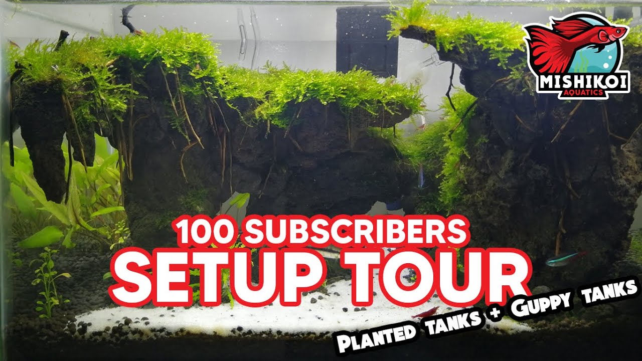 HAPPY 100 SUBSCRIBERS SETUP TOUR!! - YouTube