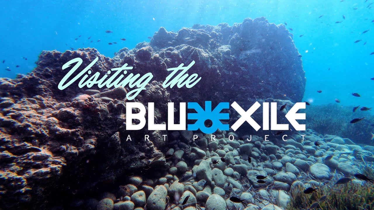 Turkuaz Dive Center Visits - Blue Exile Art Project - YouTube
