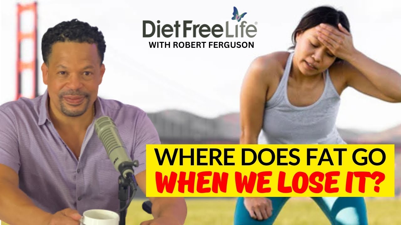 When you lose weight, where does the fat actually go? - YouTube