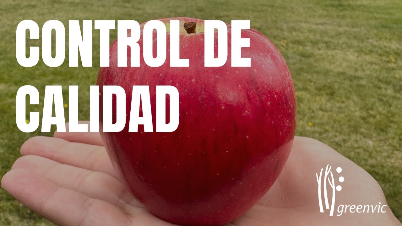 Control de Calidad en Greenvic - YouTube