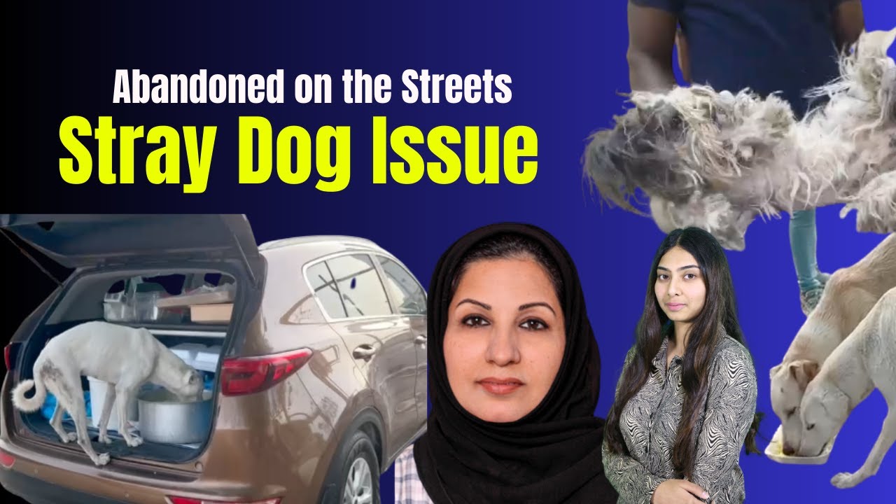 Growing problem of stray dogs | Abandoned on the streets | Bahrain ...