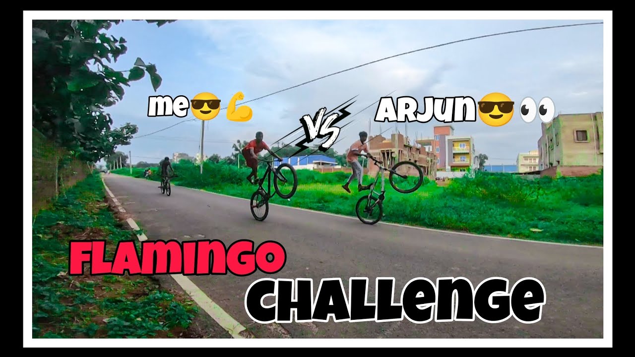 flamingo challenge ho gaya ( // )and public reactions ( // )#stunt # ...