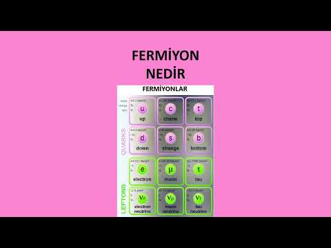 FERMİYON NEDİR?