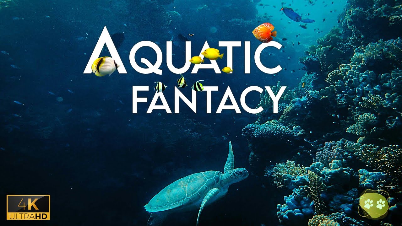 Aquatic Elegance Unleashed: Join Paws and Ponds in a Watery Spectacle 🌿 ...