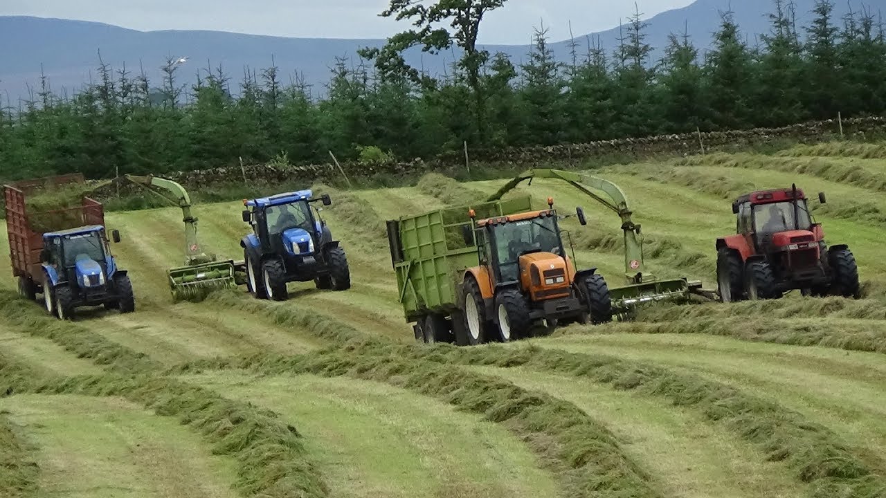 Cumbrian Silage - Lifting Grass with TWO Trailed Class 62s & NHs, MFs ...